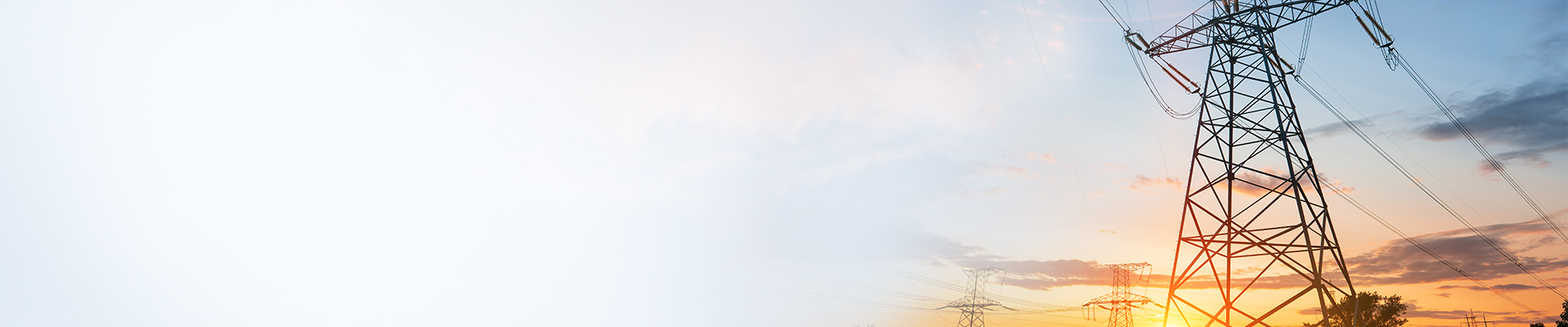 Bulgaria Enables the Reliable and Consistent Transmission of ...