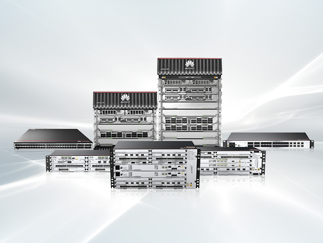 State and City Government MAN Solution - Huawei Enterprise