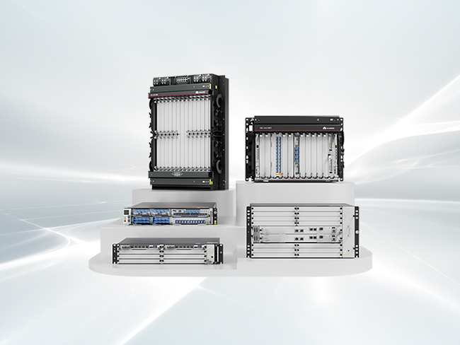 State and City Government MAN Solution - Huawei Enterprise