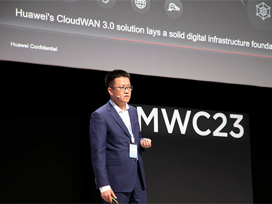 路由器-光纤路由器-NetEngine-华为企业业务