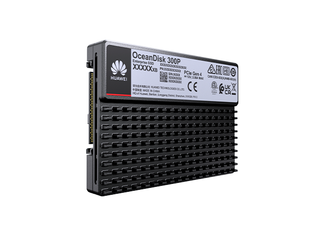 OceanDisk 300P PCIe 4.0 Series SSD | Huawei Enterprise