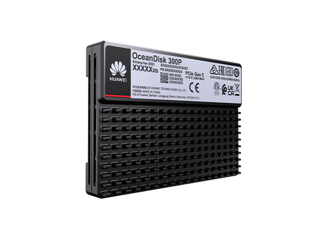 OceanDisk 300P PCIe 5.0 系列SSD - 华为企业业务