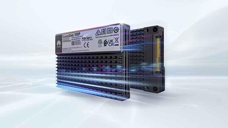 OceanDisk Smart Disk Enclosure | Huawei Enterprise