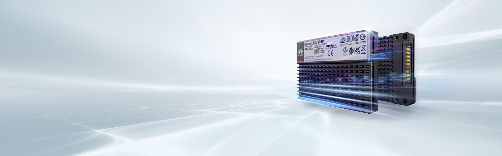 OceanDisk 300P PCIe 5.0 系列SSD - 华为企业业务