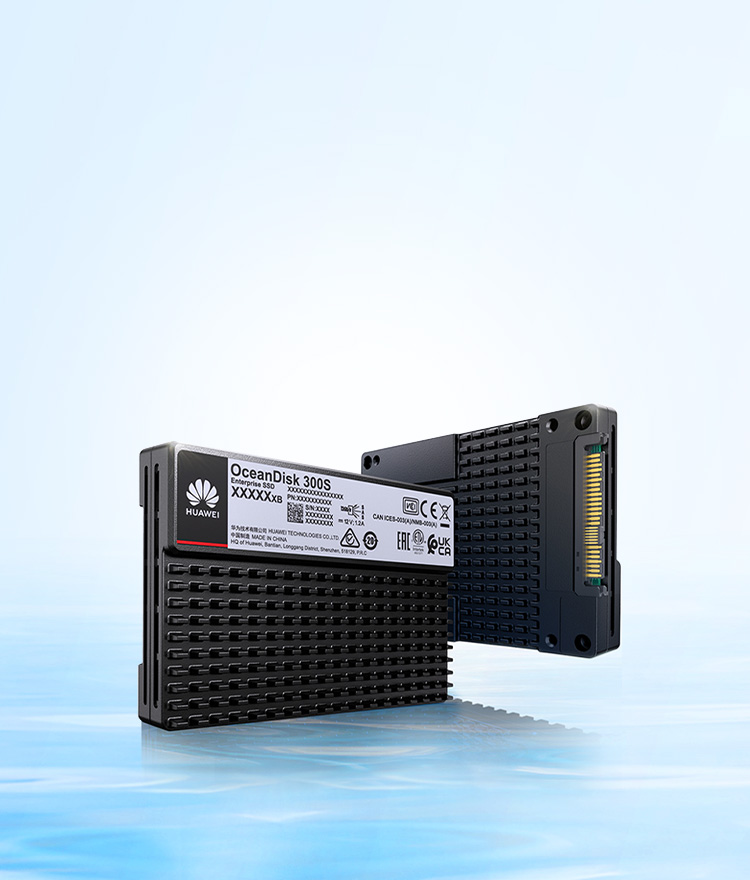 HUAWEI OceanDisk 300S SAS 3.0 SSD von Huawei