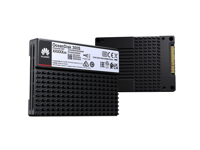 HUAWEI OceanDisk 300S SAS 3.0 SSD von Huawei