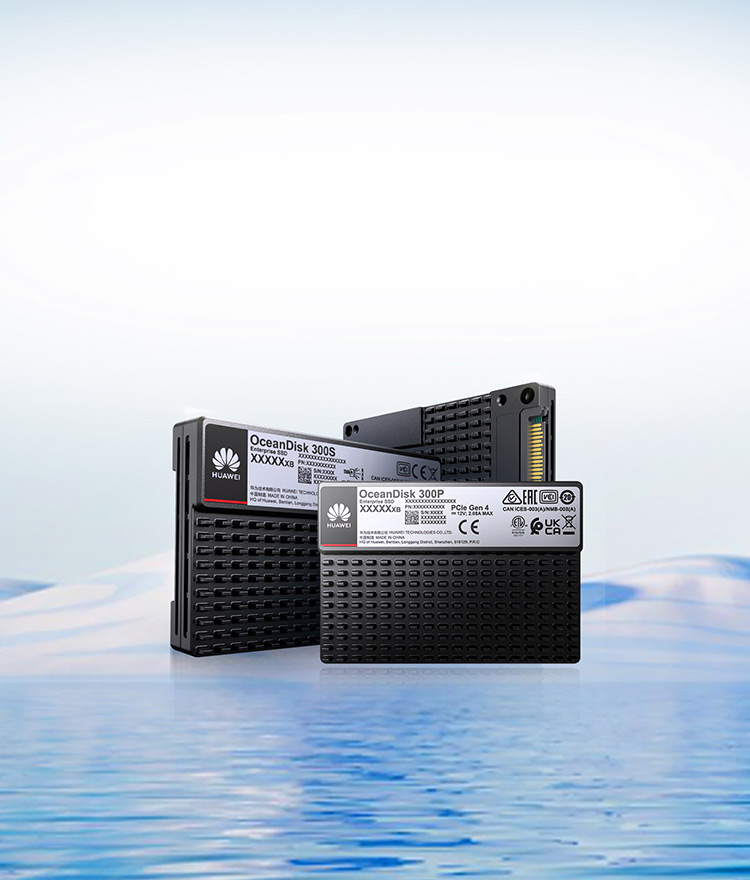 SSD components-Enterprise SSDs-Huawei Enterprise