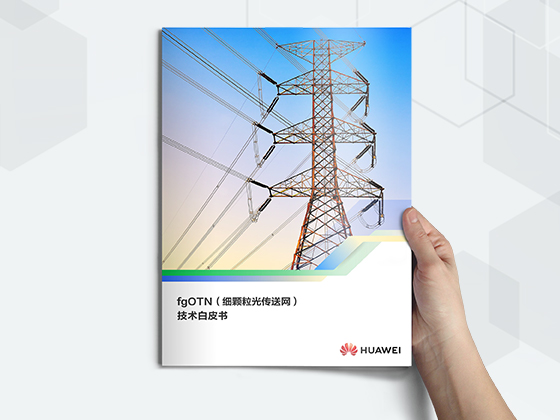 广域生产网-fgOTN技术-华为企业业务