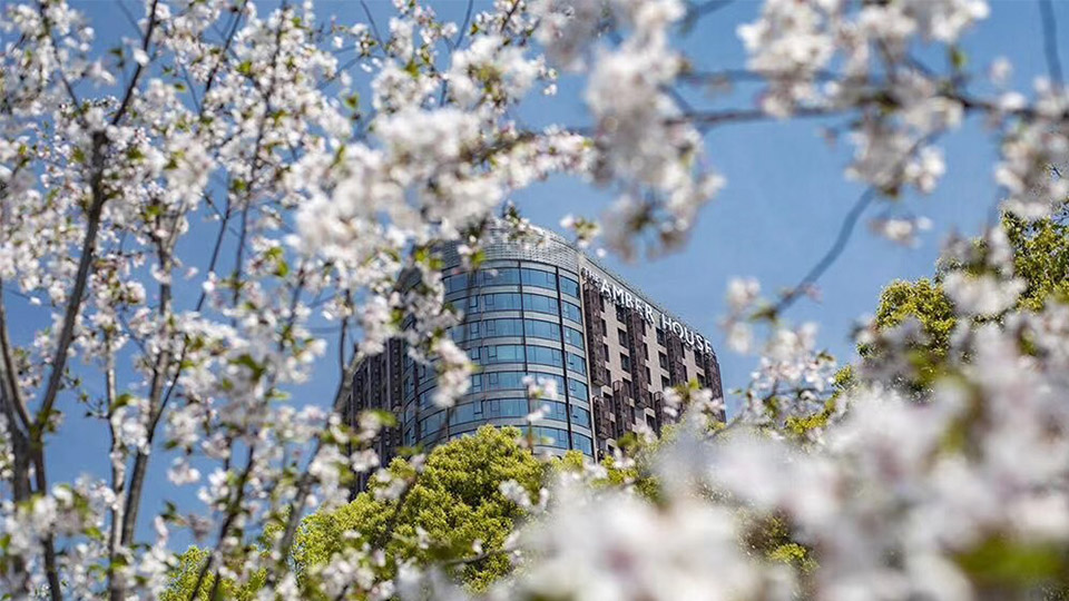 Intelligent OptiX Network | OptiX | All-Optical Networking - Huawei ...