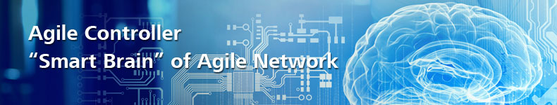 Global - Enterprise - VE - Agile Controller